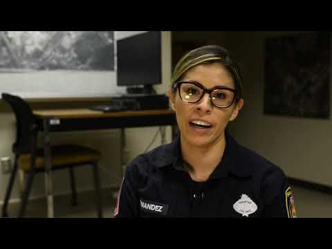 Careers in Aviation