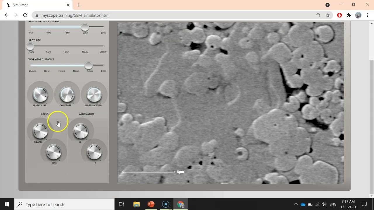 Virtual Scanning Electron Microscopy #SEM #MyScope