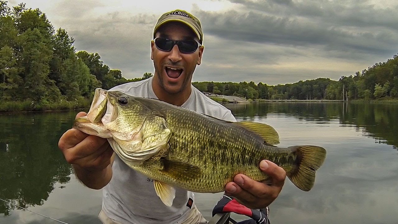 BASS FISHING (A FULL YEAR COMPILATION)