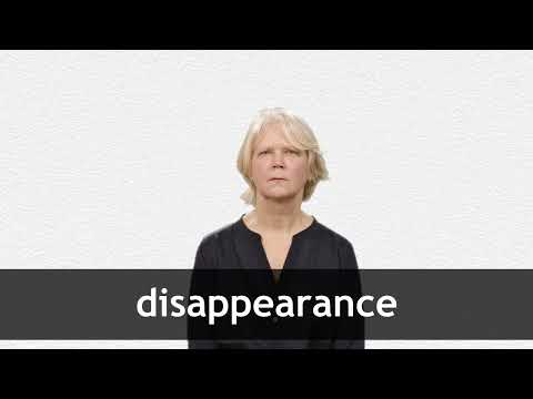 DISAPPEARANCE 释义 | 柯林斯英语词典