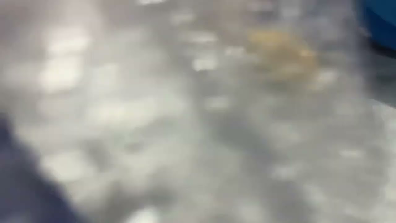 Bubble wrap reverse meme 90 fall meme 7