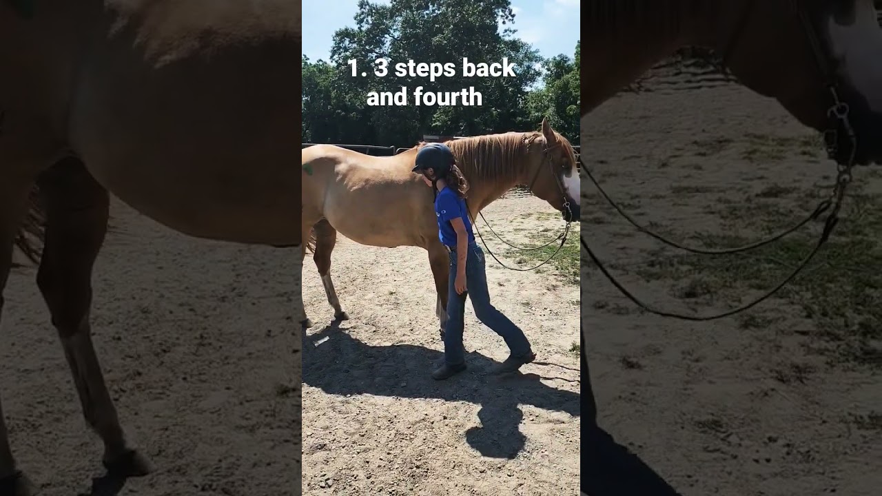 tutorial mounting on bareback