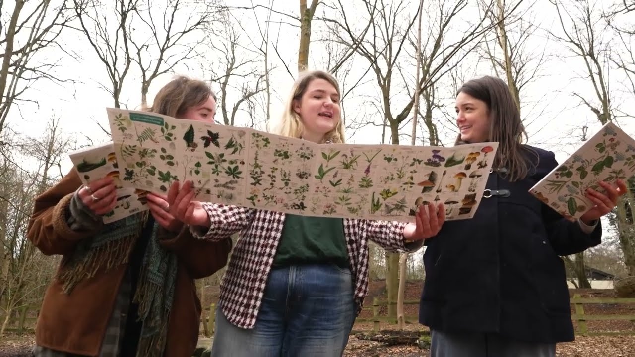 Field Studies Council wildlife ID guides