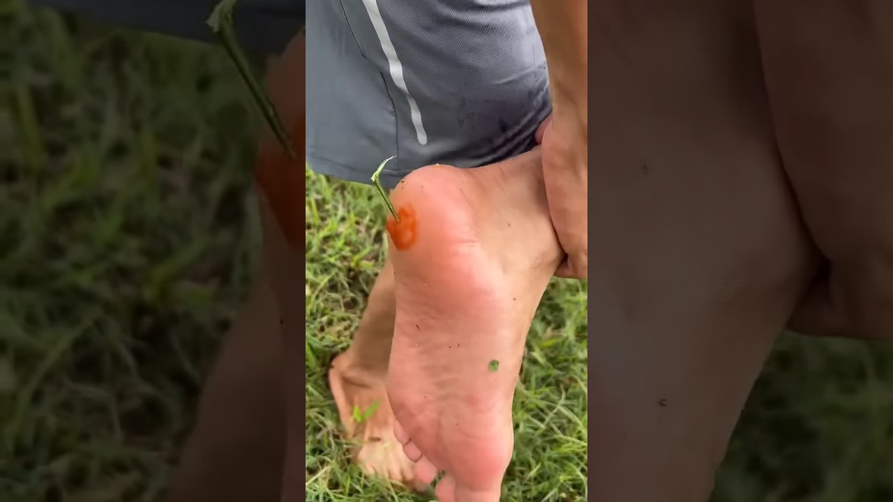 My Simple Way😂😂😂 #camping #outdoors #bushcraft #survival#viralshort #0046