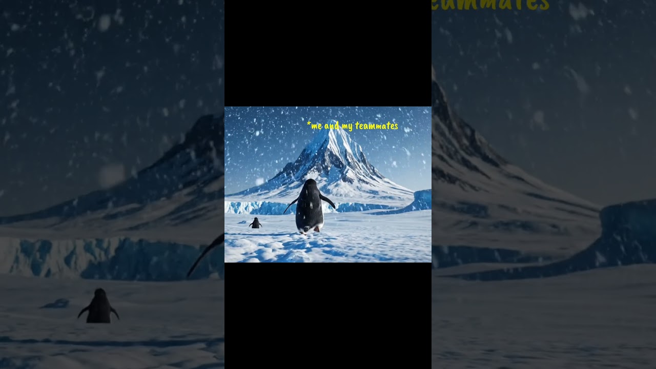 beachhack07 beachhack season 7 beach hackathon #beachhack07 beach hack #levantatelabs