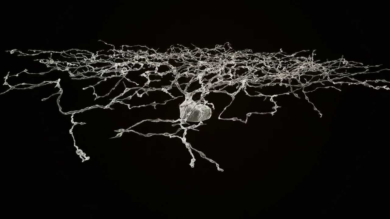 Neuron Rotating in 3D