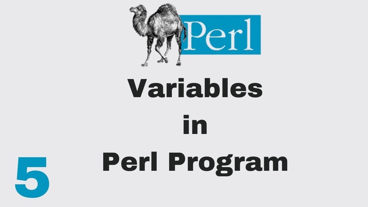Perl Script Basic Tutorial 5 Variables