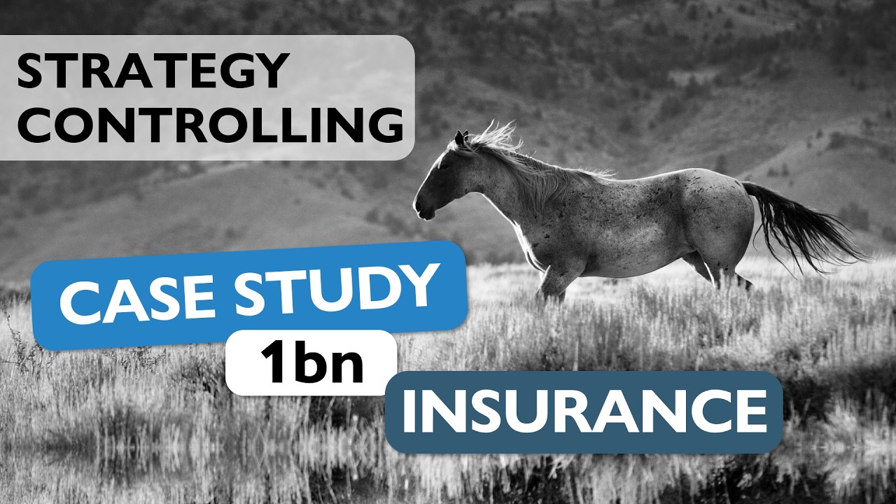 How I Built a Strategy Controlling Framework for a €1bn Insurance Group | Case Study
