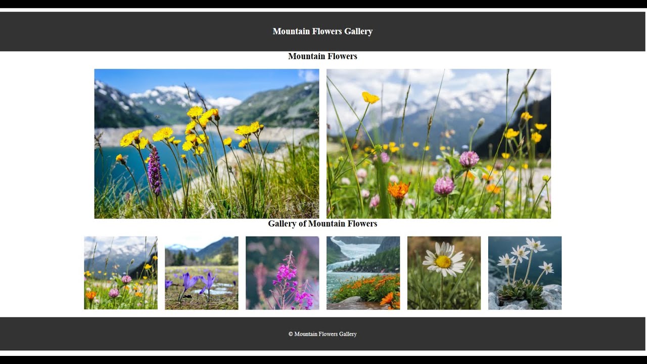 Using JAvaScript to Display Images