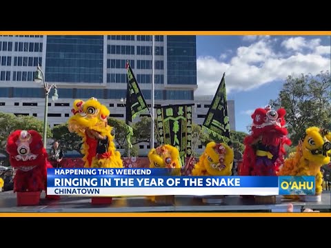 Year of the Snake symbolizes a year of renewal