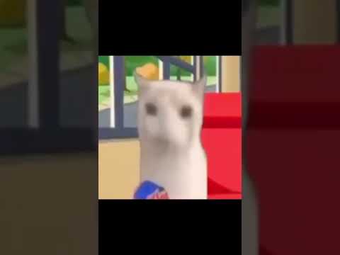 Just cat eating chips #memes #funny #