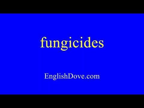 How to pronounce fungicides in American English