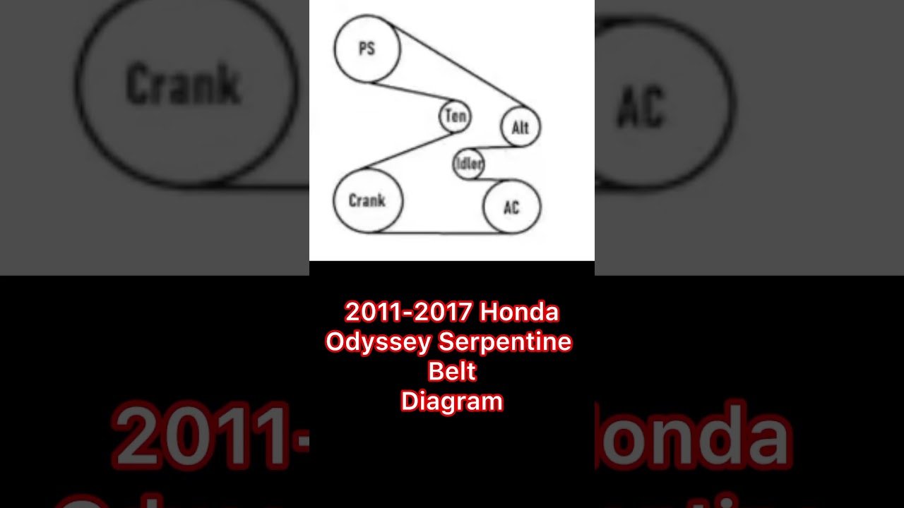 2011-2017 Honda Odyssey Serpentine Belt Diagram #automobile #carparts #mechanic #diy #honda #odyssey