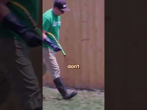BEST time to fertilize grass