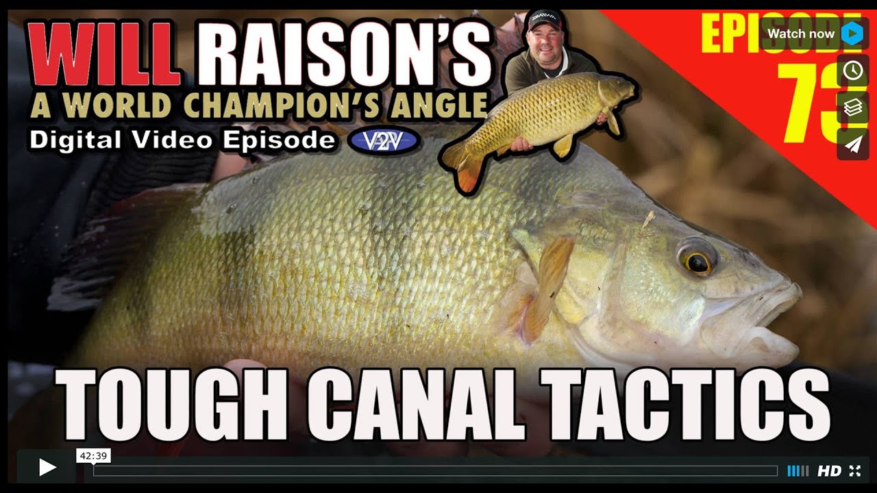 Target BIG Canal Perch & Silvers   | Will Raison Fishing