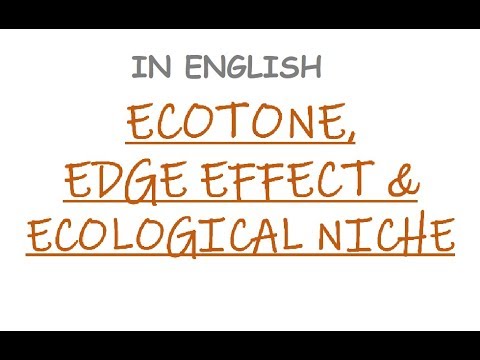 What is Ecotone, Edge Effect & Ecological Niche ? (In English)