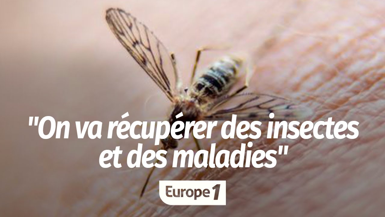 RÉCHAUFFEMENT CLIMATIQUE : 