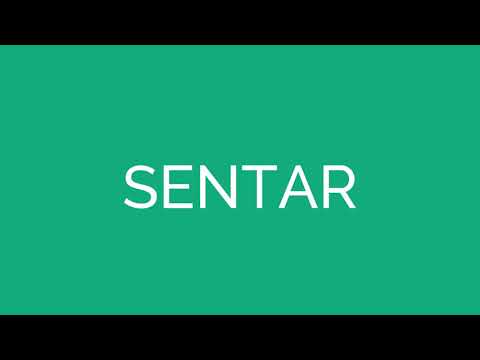 How To Say Sit In Spanish