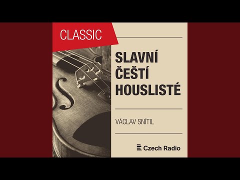 Concerto grosso a moll pro dvoje housle a orchestr, Op. 3, č. 8 RV 522: II. Larghetto e spirituoso