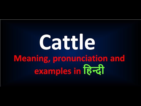 Cattle | Cattle meaning in Hindi | What is cattle? Pronunciation of cattle.