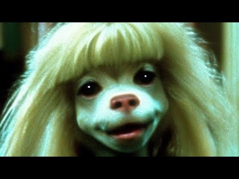 Animal Crossing New Horizons (ACNH) as an 80s dark fantasy film