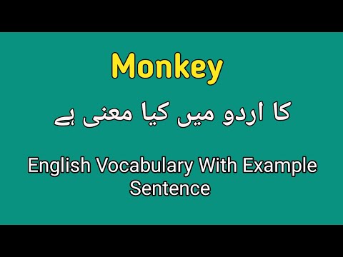Monkey meaning in Urdu | monkey ka Urdu mein Kia matlab hota ha