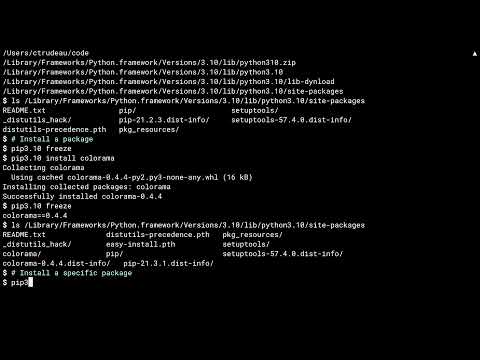Installing Packages Using pip and Creating requirements.txt Files