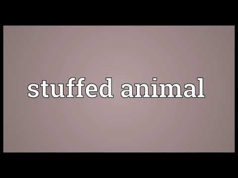 Stuffed animal Meaning