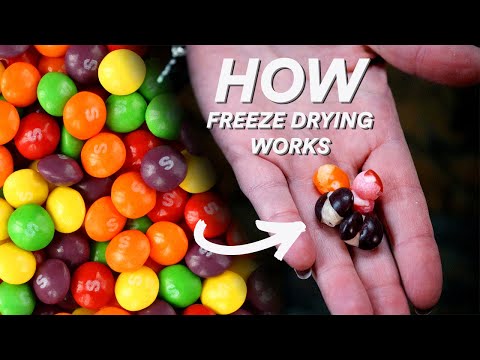 What is Freeze Drying?
