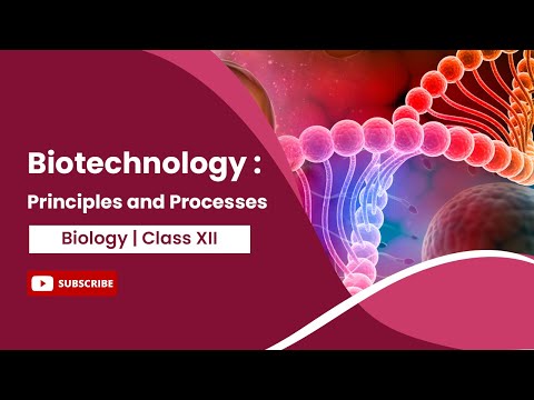 Principles and Processes | Biotechnology and its Principles | Biology | Class 12