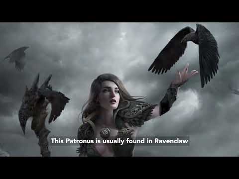 Raven Patronus (With Captions)