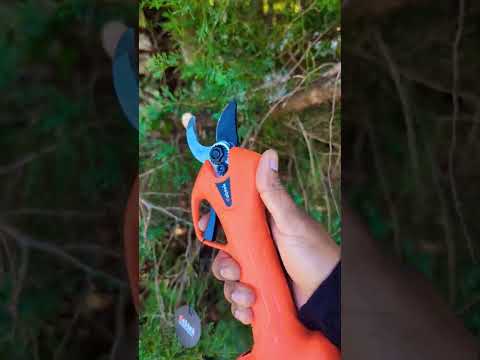 This is No joke ! Powerful Electric Pruning Shears! #viral #trending #shorts