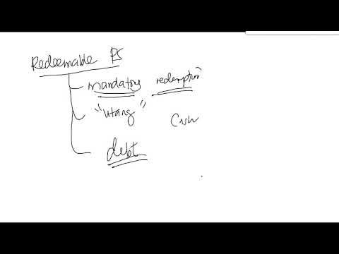 15 Redeemable Preference Shares