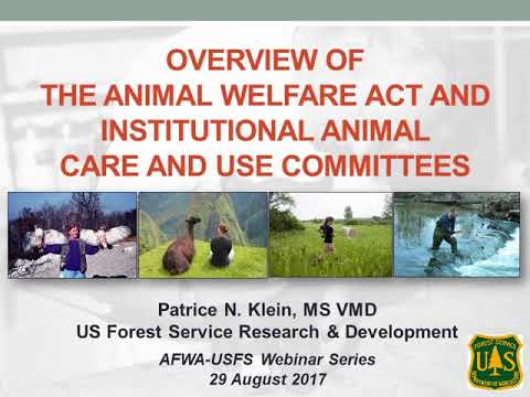 Webinar: Overview of the Animal Welfare Act