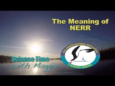 Science Time with Maggie - The Meaning of NERR