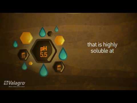 Master Supreme | Syngenta Biologicals