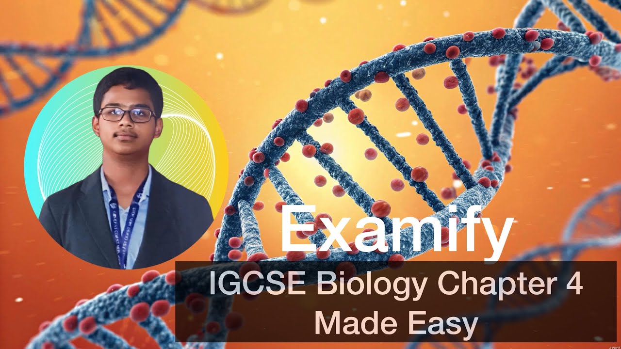 IGCSE Biology Revision: Chapter 4 | Biological Molecules Made Easy | 2025-28 Syllabus