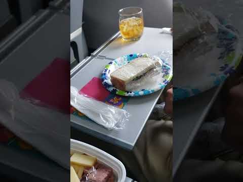 Homemade Charcuterie "Aboard" in American Airlines First Class domestic service