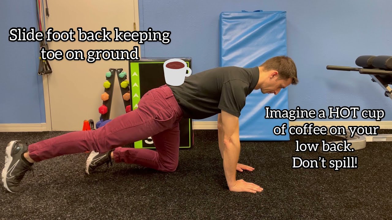 Quadruped Hip Extension Series