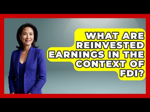 What Are Reinvested Earnings In The Context Of FDI? - Making Politics Simple