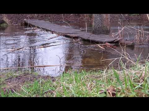 Moving pictures – Handbooking