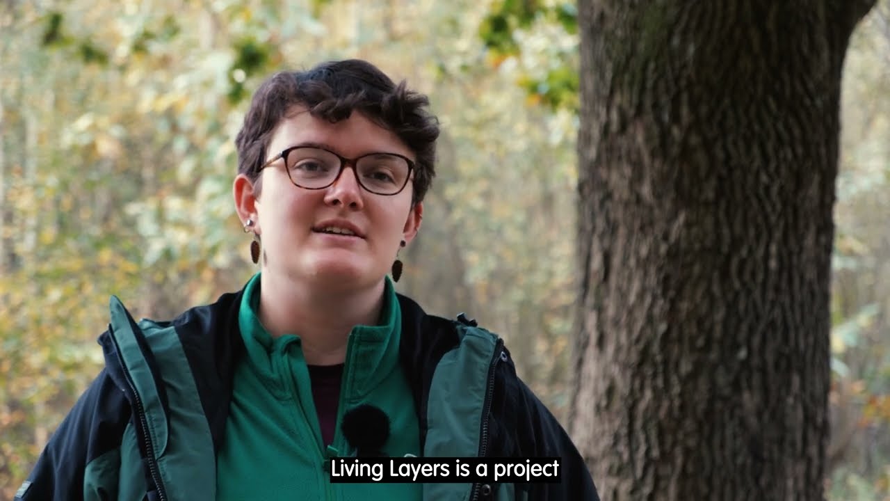 Invitation to Woodland Owners: Join the Living Layers Project | Forest Research & Sylva Foundation
