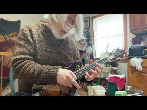 Tim Davis F5 mandolin 2000s - Sunburst | Reverb