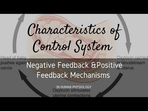 Characteristics of Control System (Negative & Positive Feedback Mechanisms) in Human Physiology