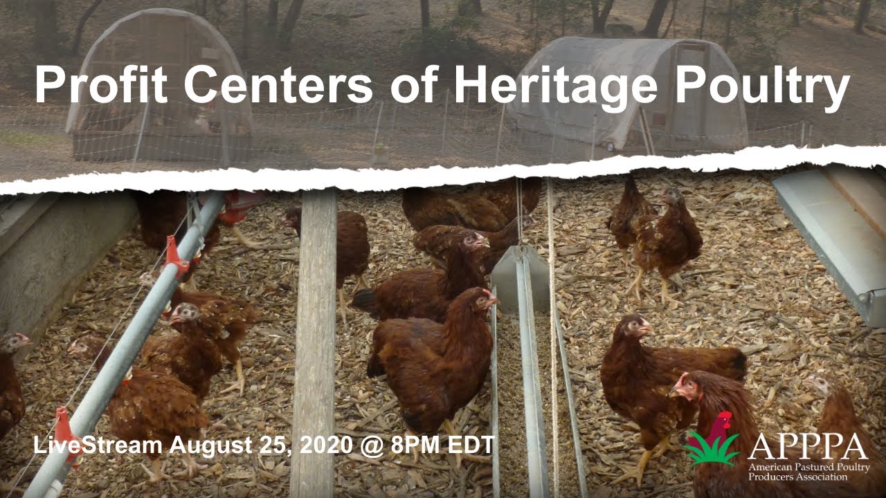 10 Profit Centers of Heritage Poultry Breeding