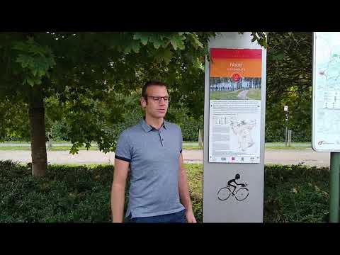 Zomerzoektocht Reynaert de vos