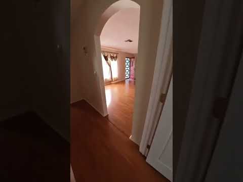 What house can you buy for under 300k in Spring Hill, FL?