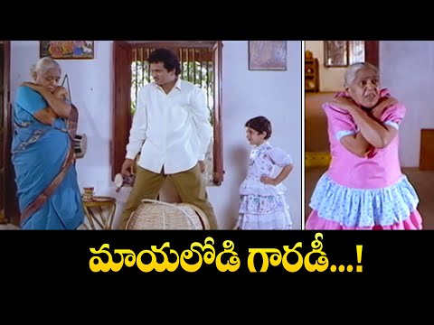 మాయలోడి గారడీ...! | Rajendraprasad | Soundarya | Maayalodu | ETV #ML