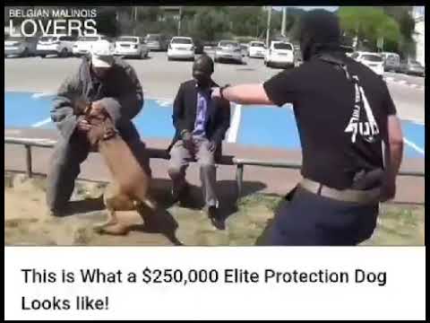 The Price of Fertilizer is Expensive! How Much Are You Willing to Pay to Push Up Daisies? Part 1