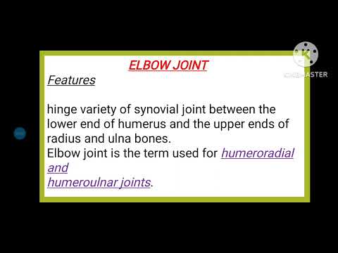 ANATOMY OF ELBOW JOINT /IN TAMIL /UPPER LIMB /JOINTS